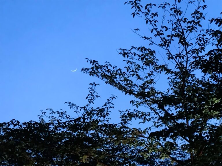 久世星佳 オフィシャルウェブサイト